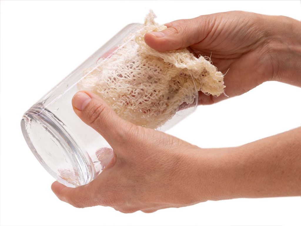 Agave Scrubber – Sayula Products